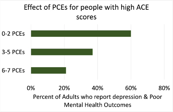 Adverse Childhood Experiences